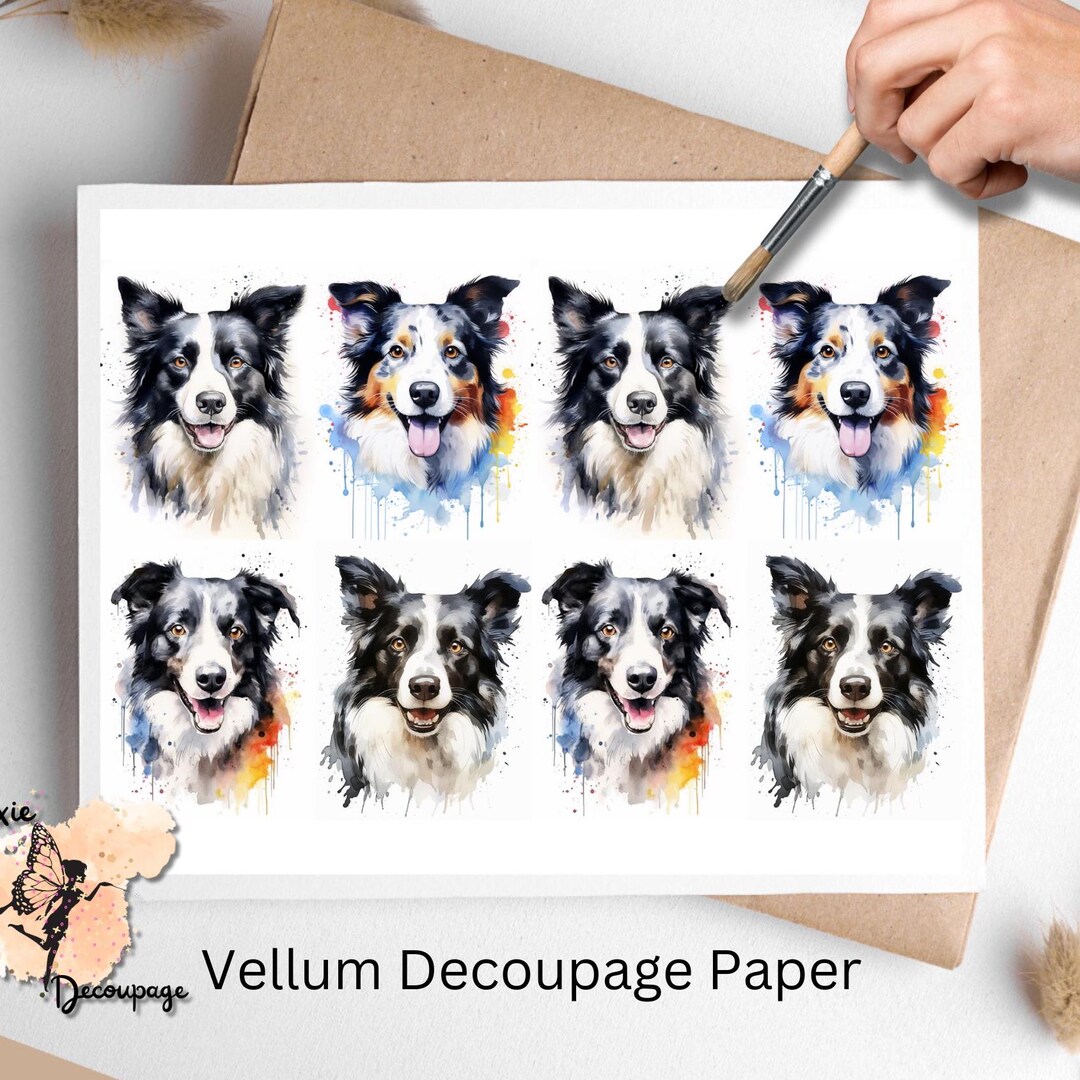Border Collie Collage 1, Vellum Decoupage Paper US Letter Size, Shipped ...