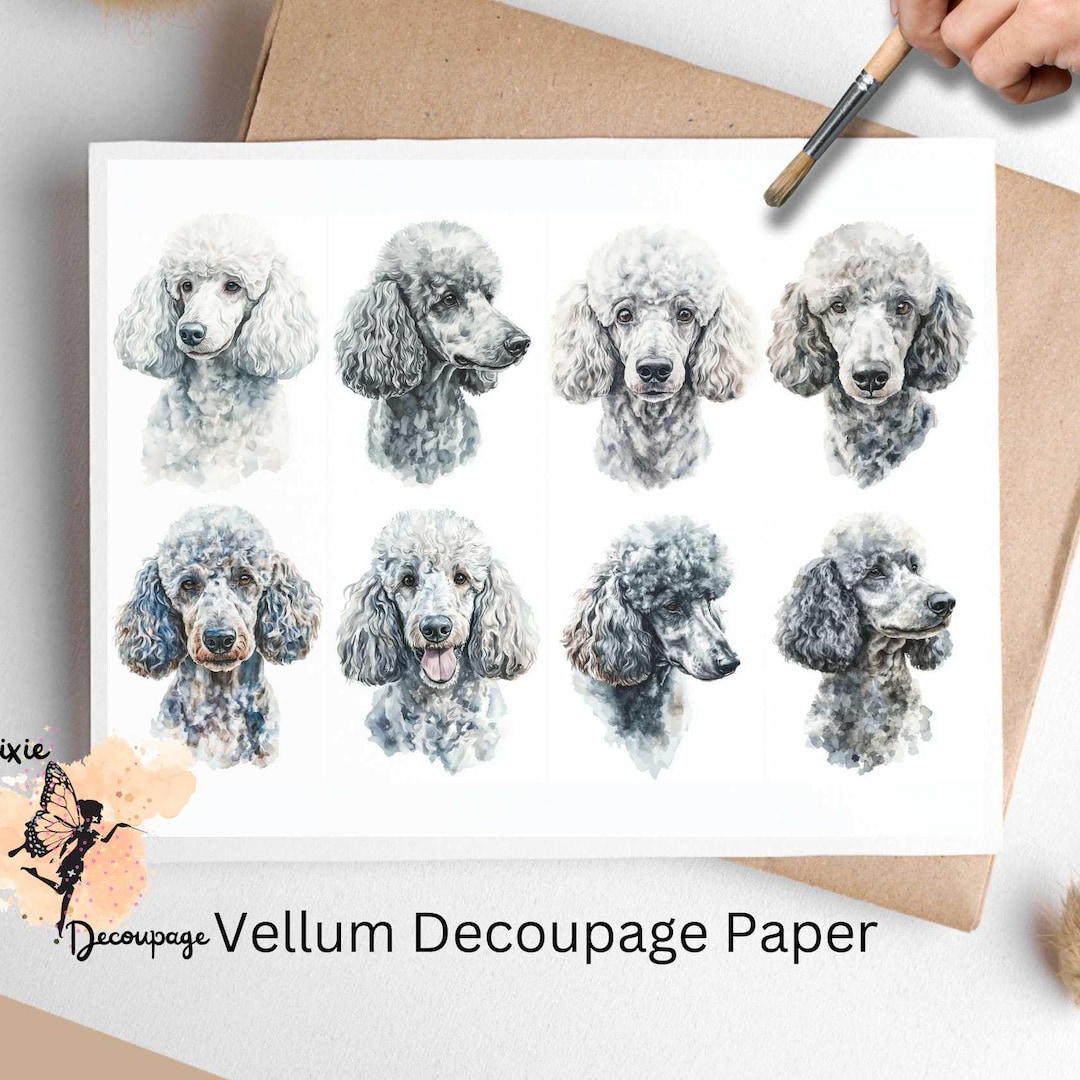 Silver Poodle Collage 1, Decoupage Paper US Letter Size, Shipped to You ...