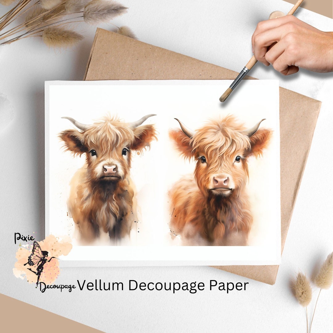 Baby Highland Cow Collage 4, Decoupage Paper US Letter Size, Shipped to ...