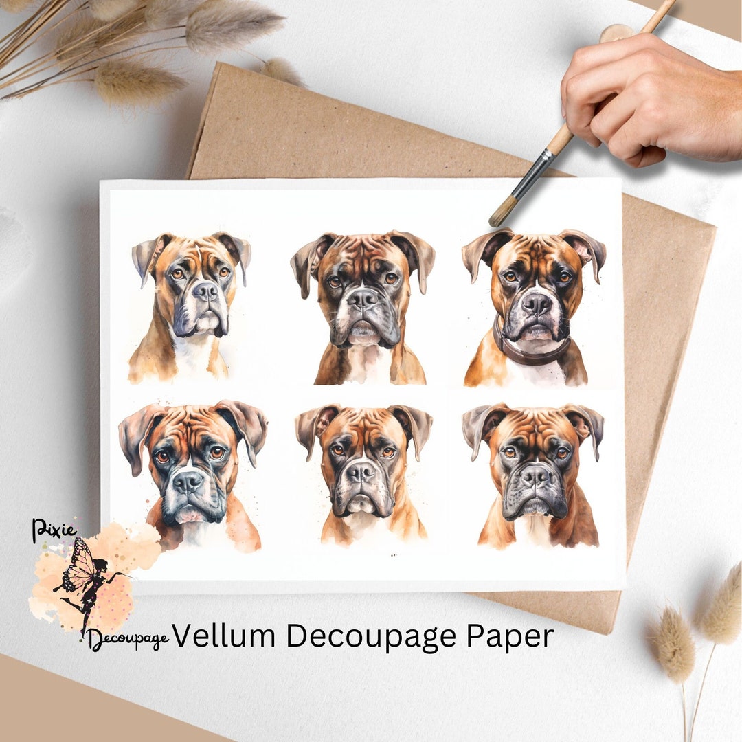 Boxer Collage 2, Vellum Decoupage Paper US Letter Size, Shipped to You ...