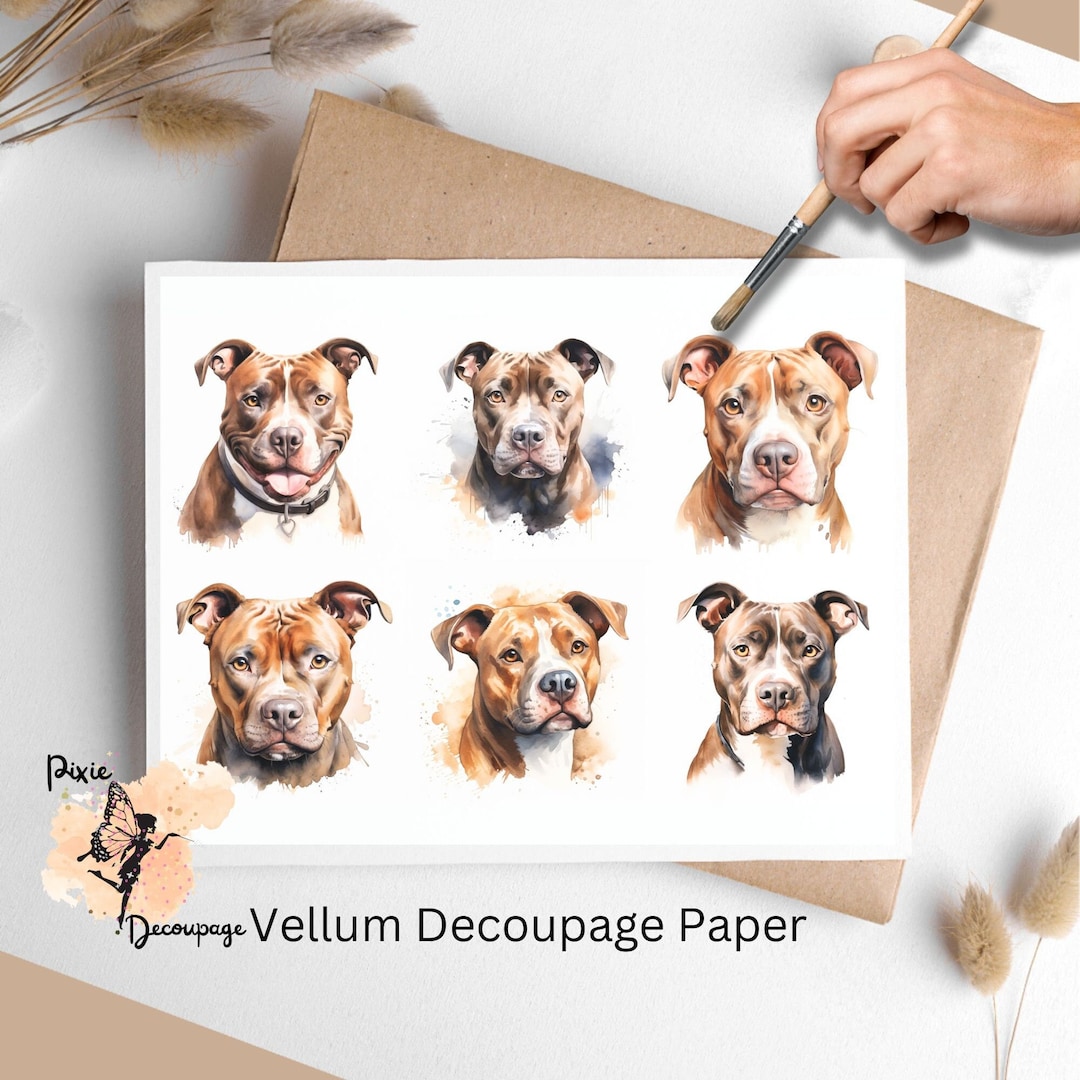 Pitbull Collage 1, Decoupage Paper US Letter Size, Shipped to You - Etsy
