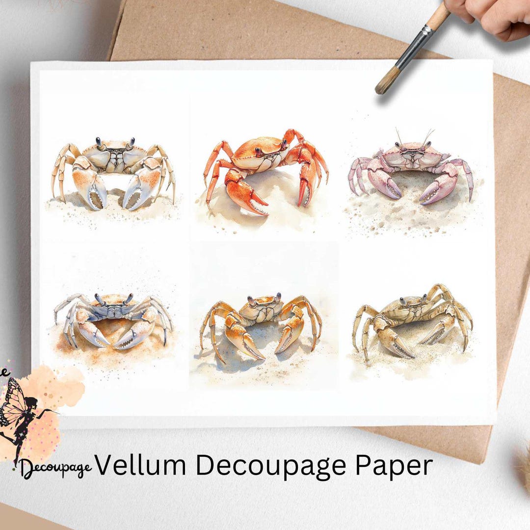 Snow Crab Collage 2, Decoupage Paper US Letter Size, Shipped to You - Etsy