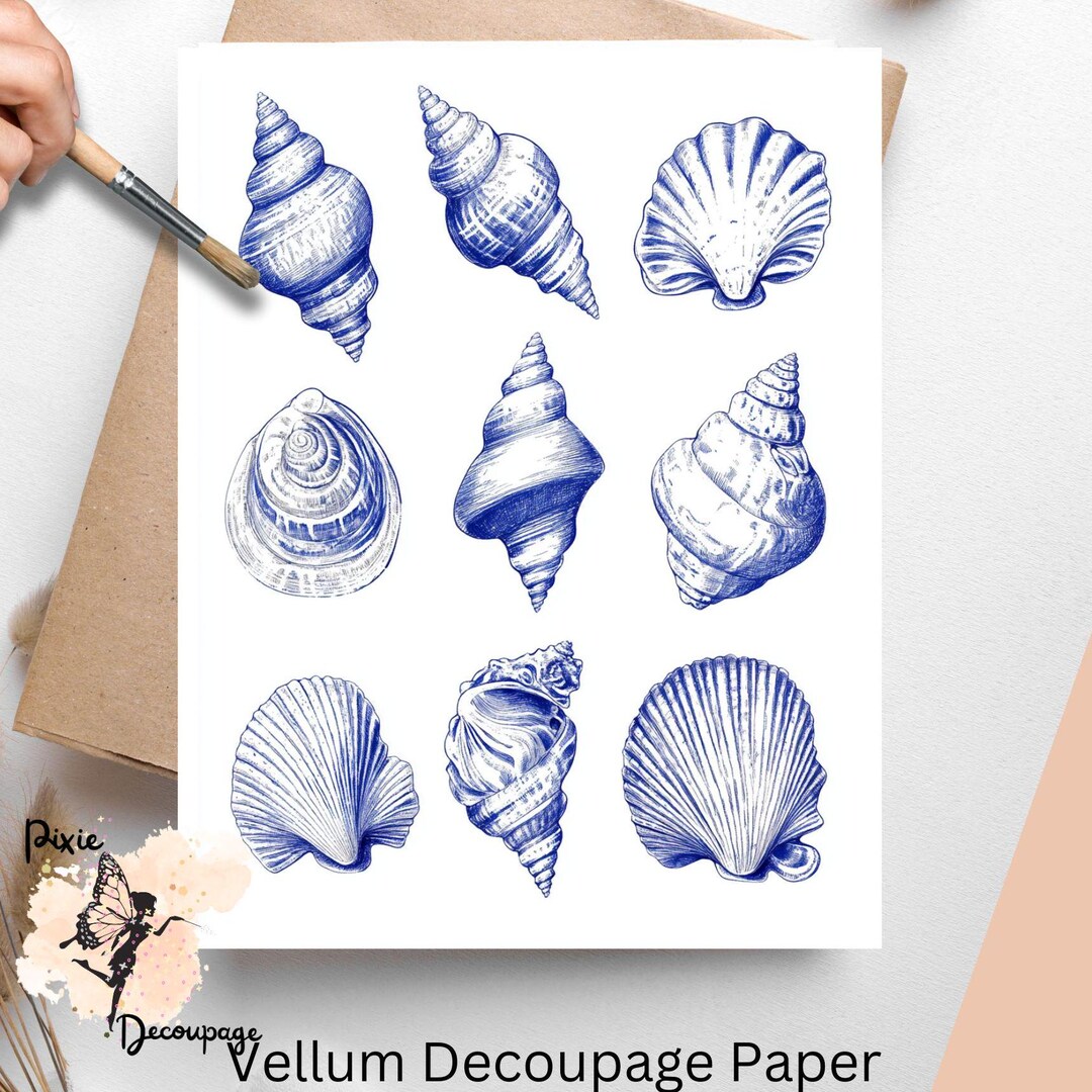 Blue Ink Seashells Collage 2, Vellum Decoupage Paper US Letter Size ...