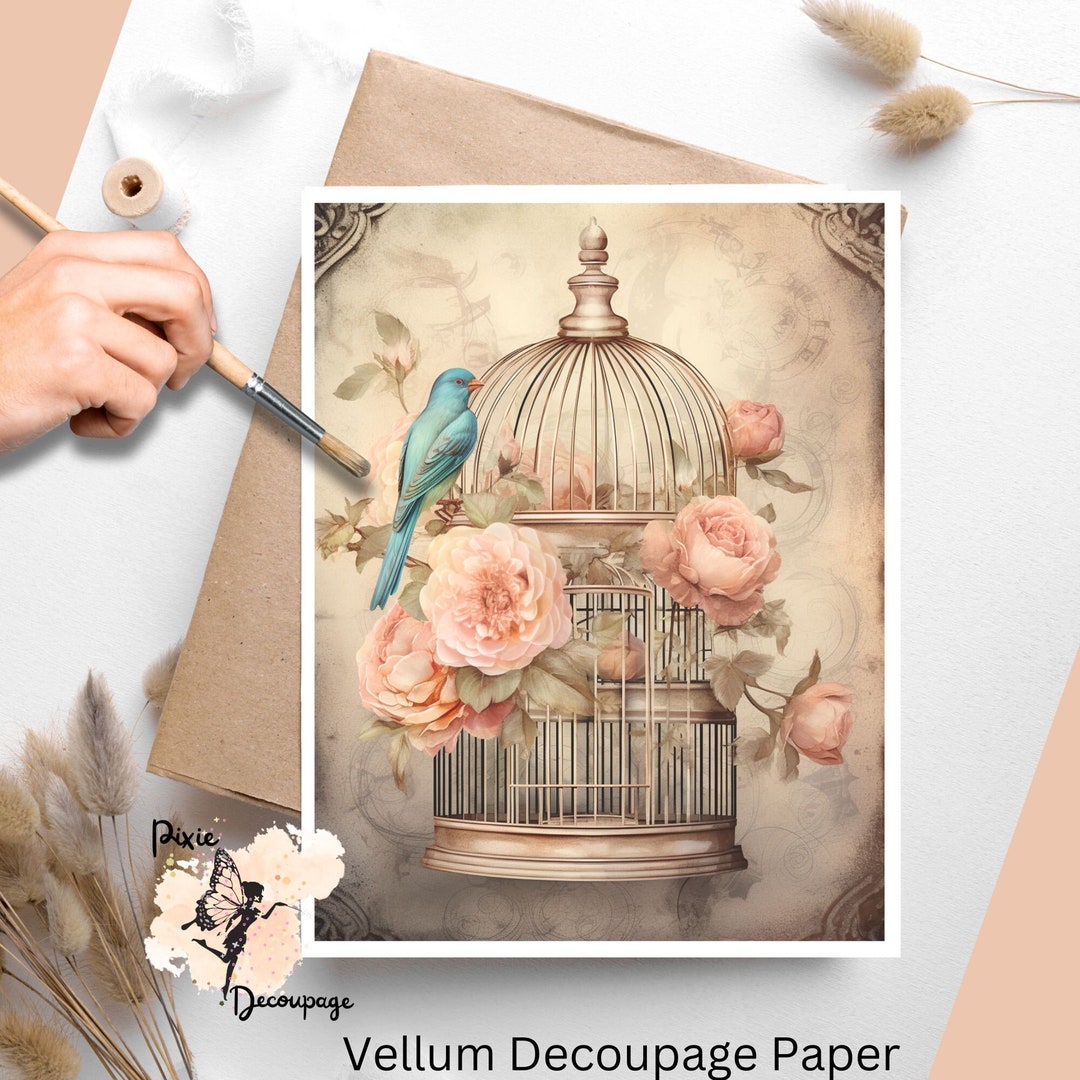 Ephemera Birdcage 4 , One Sheet Rice Paper US Letter Size - Etsy