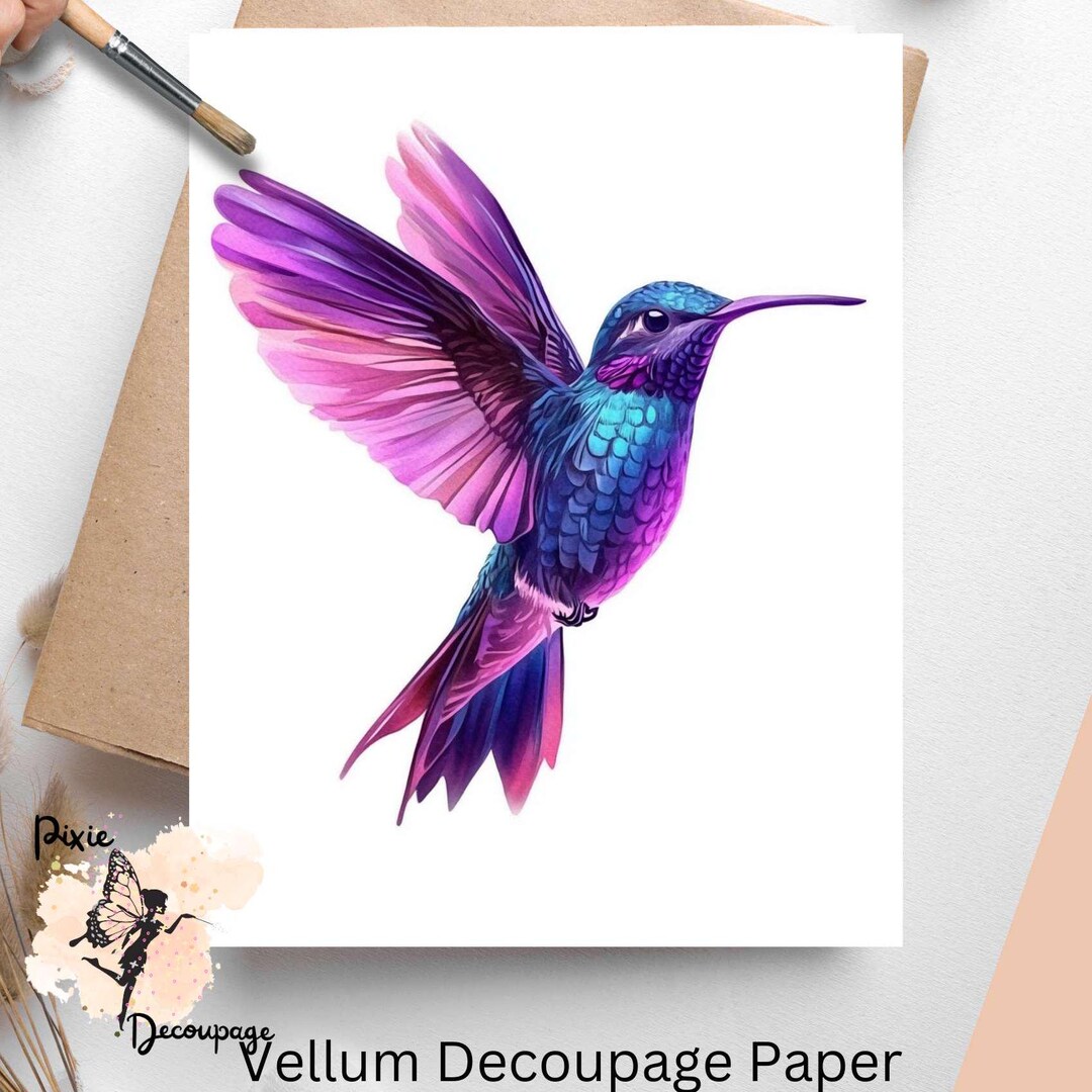 Hummingbird 1, Vellum Decoupage Paper US Letter Size, Shipped to You - Etsy