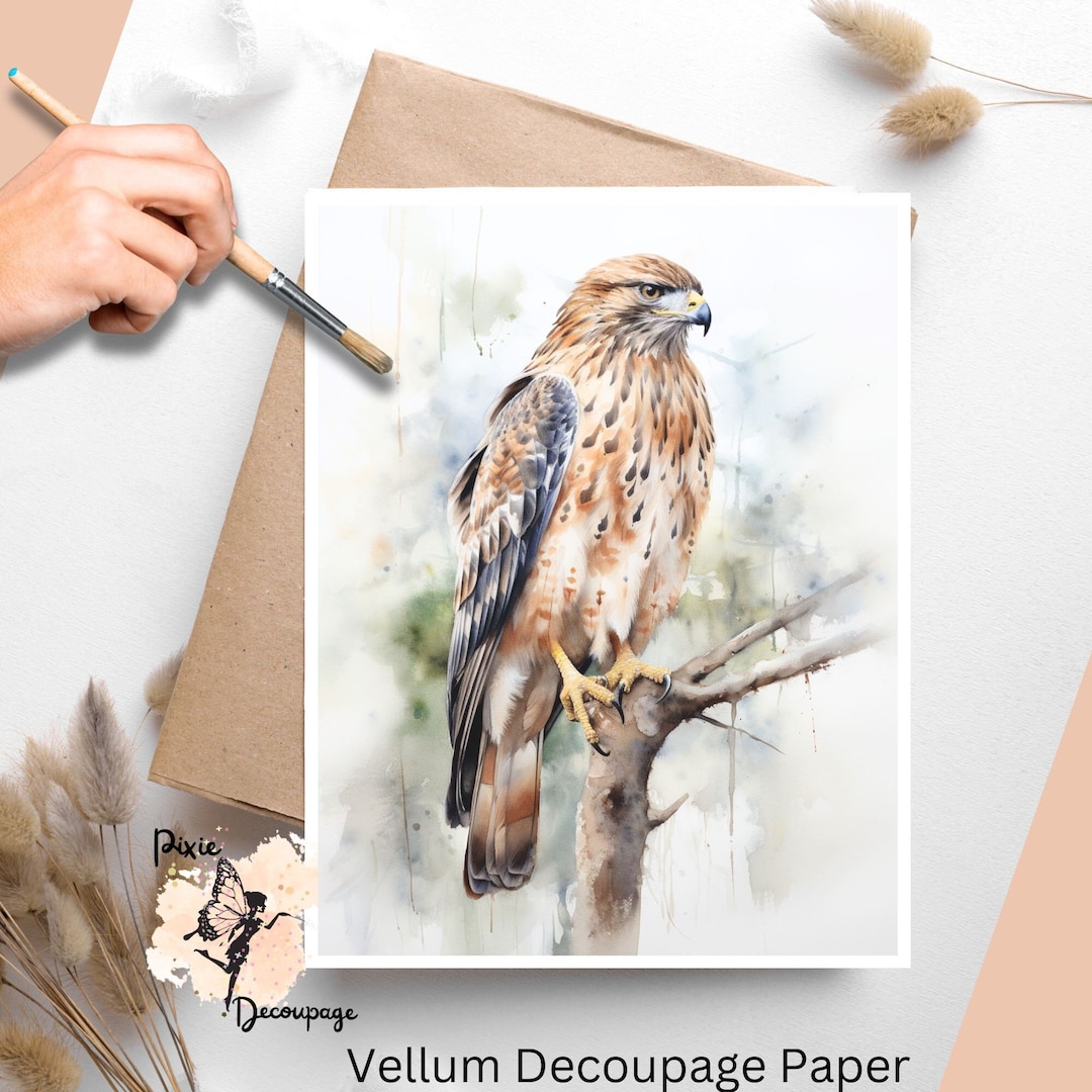 Hawk 1, Vellum Decoupage Paper US Letter Size, Shipped to You - Etsy