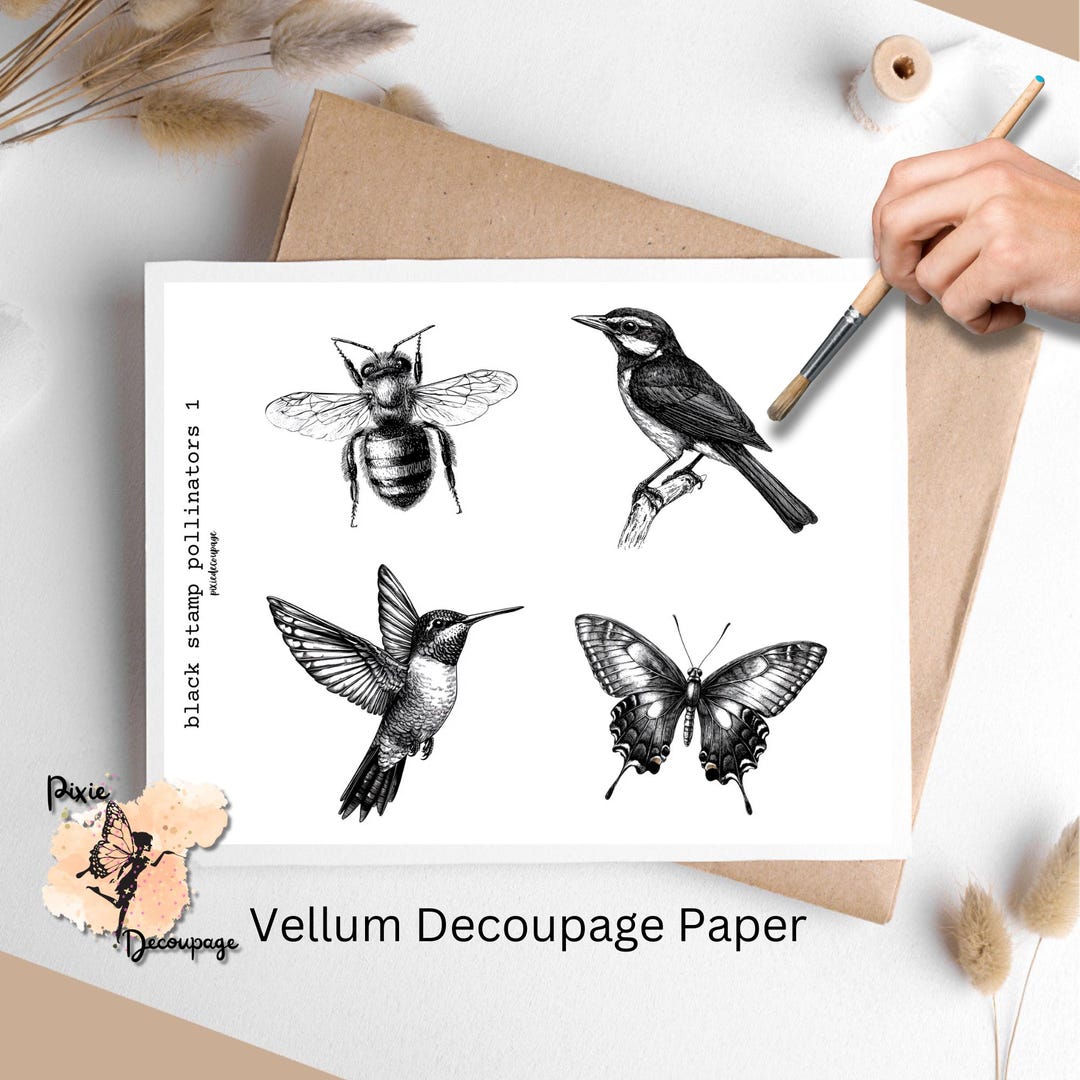 Black Stamp Pollinators 1 , One Sheet Decoupage Paper US Letter Size - Etsy