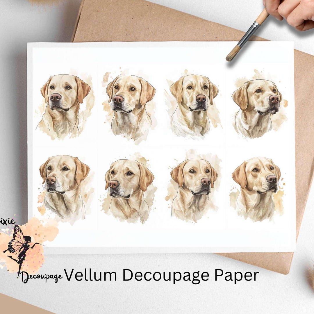 Yellow Labrador Retriever Collage 1, Vellum Decoupage Paper US Letter ...