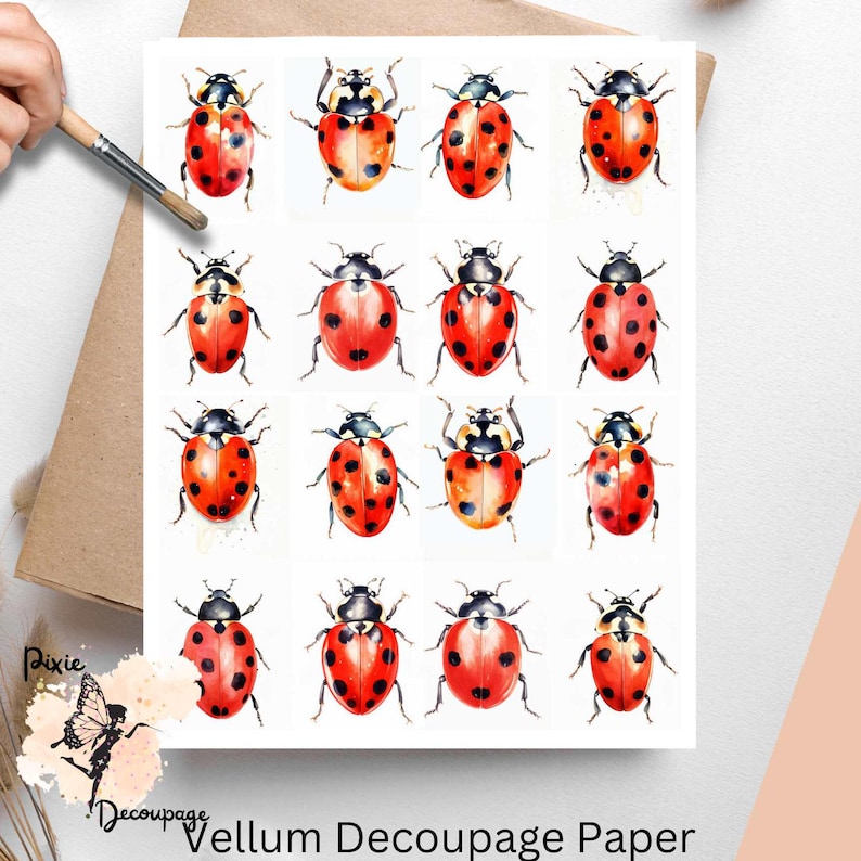 Ladybug 2 , One Sheet Rice Paper US Letter Size - Etsy Australia