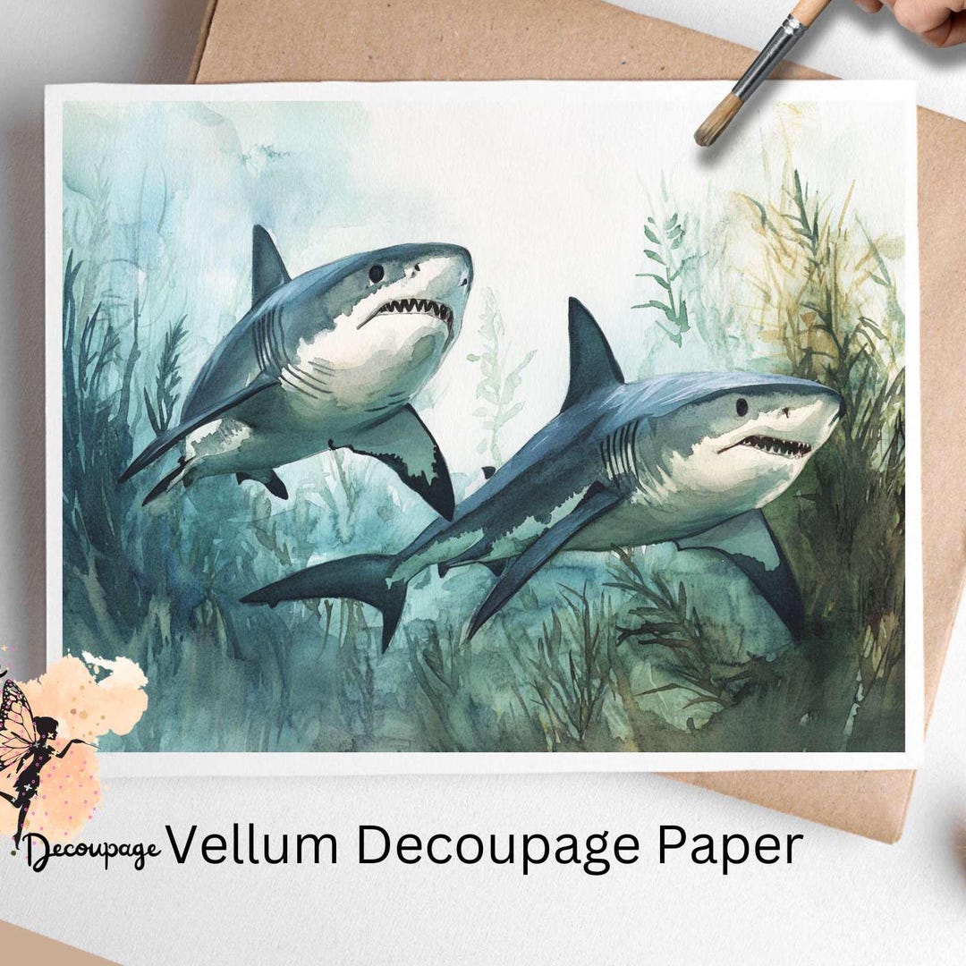 Sharks 3 Decoupage Paper US Letter Size, Shipped to You - Etsy