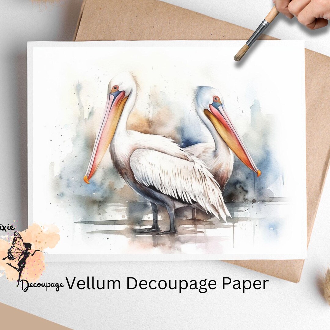 Pelicans 1, Vellum Decoupage Paper US Letter Size, Shipped to You - Etsy