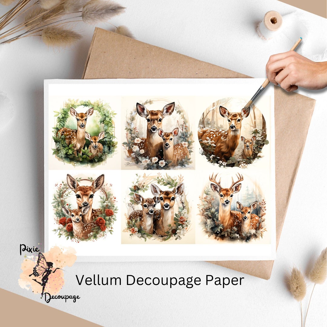Fawns and Deer Collage 1 Decoupage Paper US Letter Size - Etsy