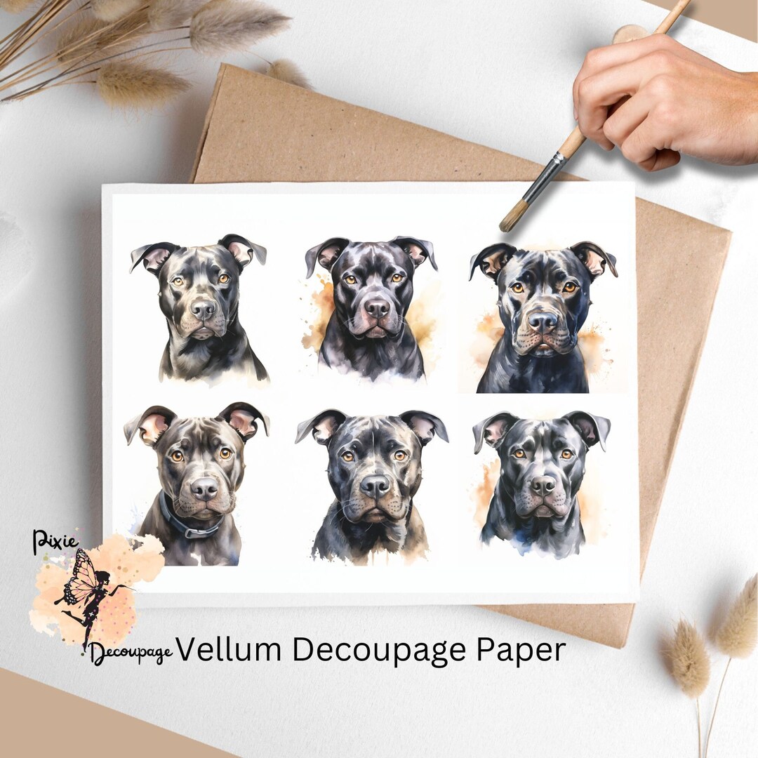 Pitbull Collage 3, Vellum Decoupage Paper US Letter Size, Shipped to ...