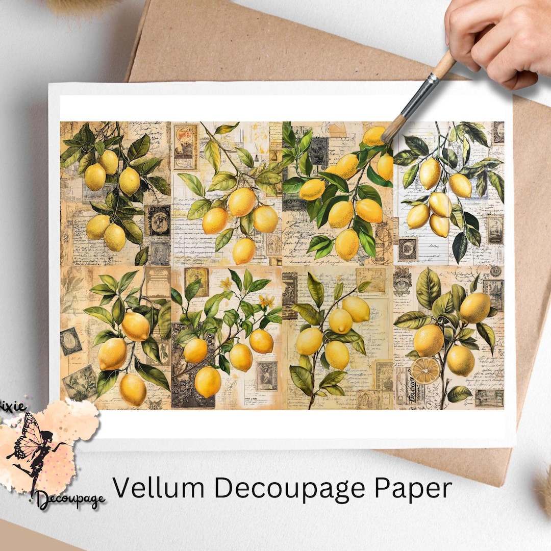 Lemon Vine Ephemera 1 , One Sheet Rice Paper US Letter Size - Etsy