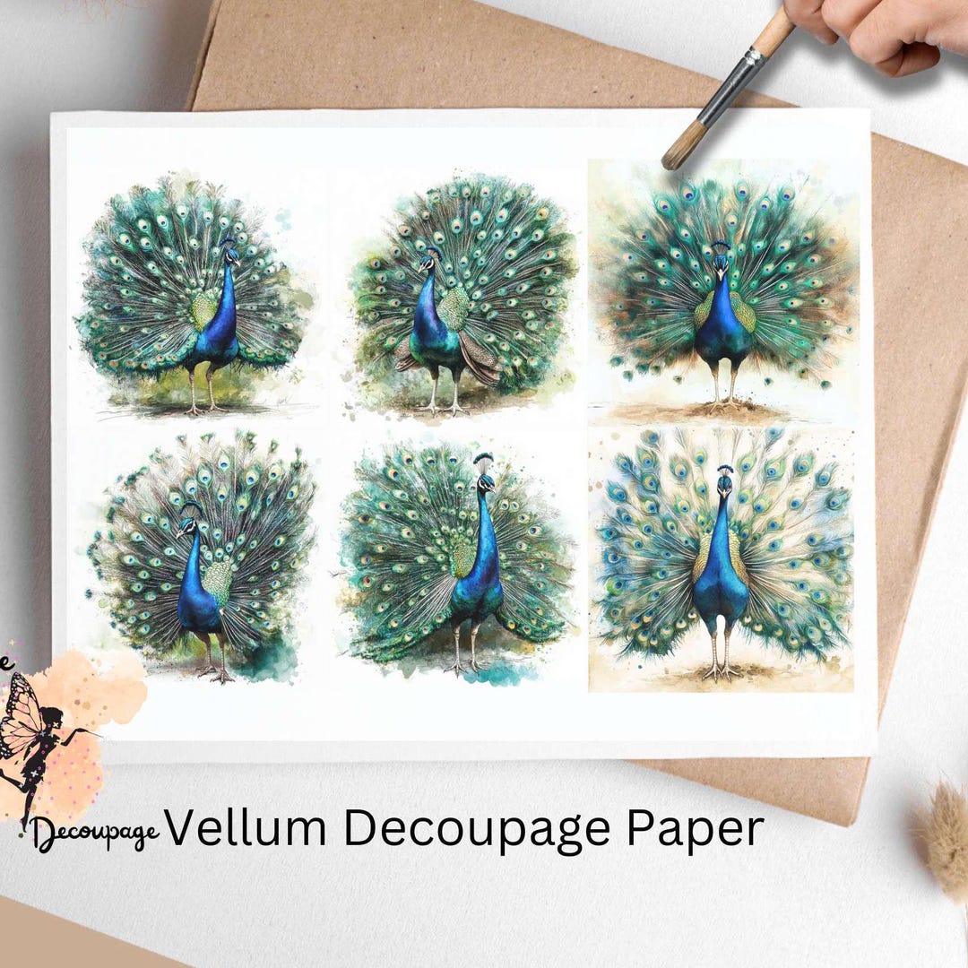 Peacock Collage 2, Decoupage Paper US Letter Size, Shipped to You - Etsy