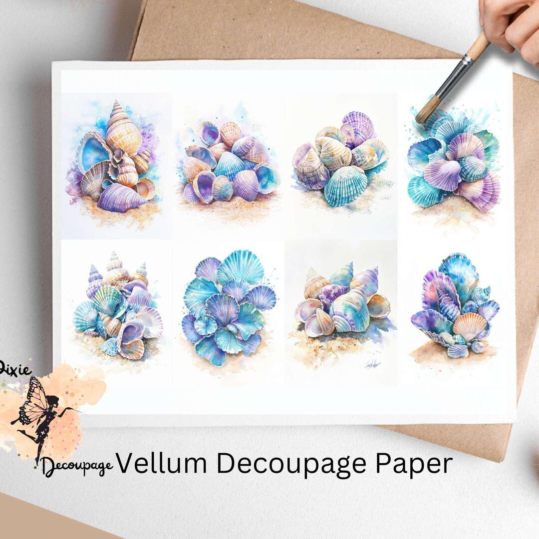 Seashells Collage 1, Vellum Decoupage Paper US Letter Size, Shipped to ...