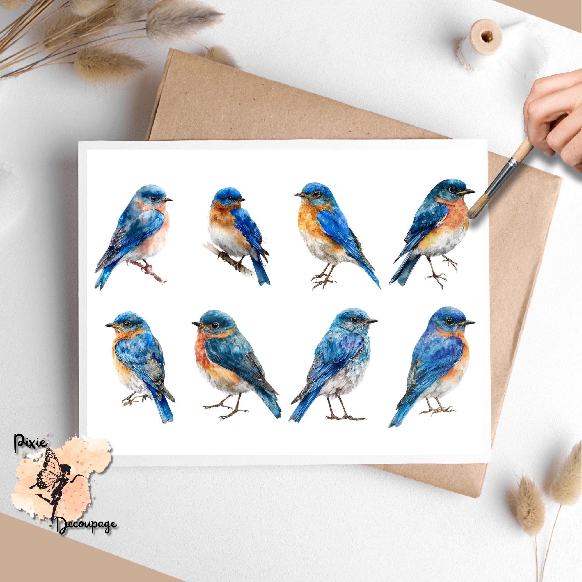 Bluebird 1 , One Sheet Rice Paper US Letter Size - Etsy