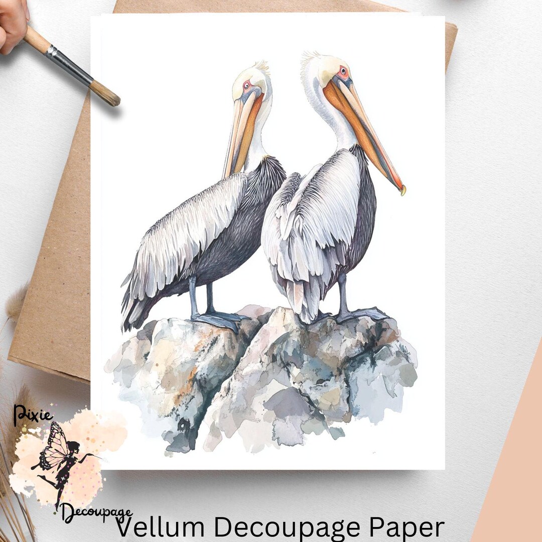 Pelicans 6, Vellum Decoupage Paper US Letter Size, Shipped to You - Etsy