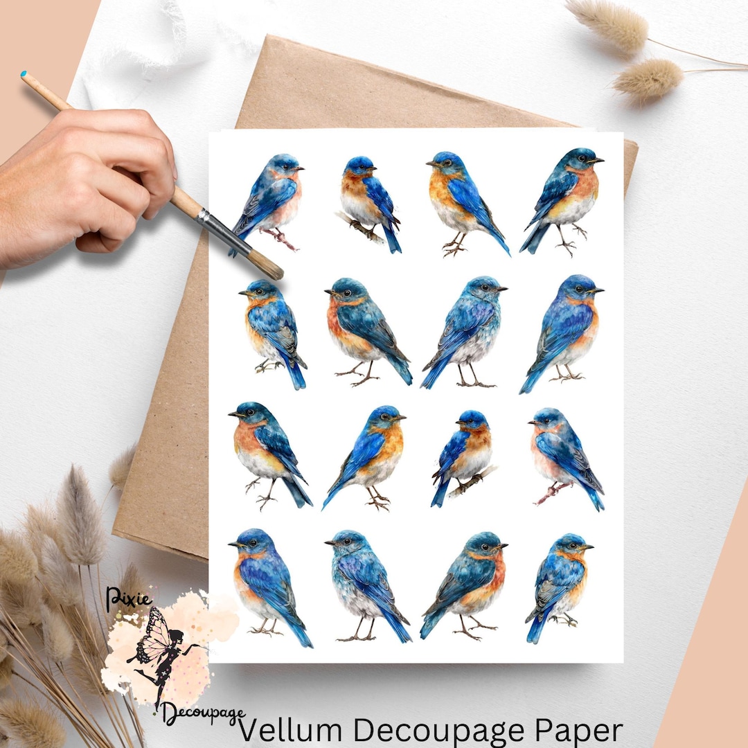 Bluebird 2, One Sheet Rice Paper US Letter Size - Etsy