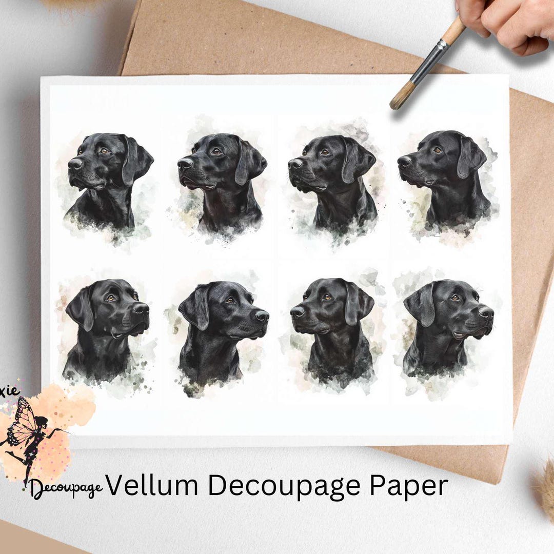 Black Labrador Retriever 1 , One Sheet Rice Paper US Letter Size - Etsy