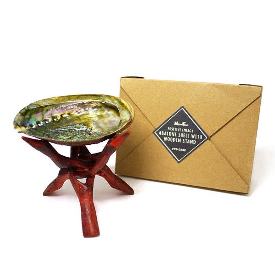 Abalone Shell With Wooden Stand - Etsy