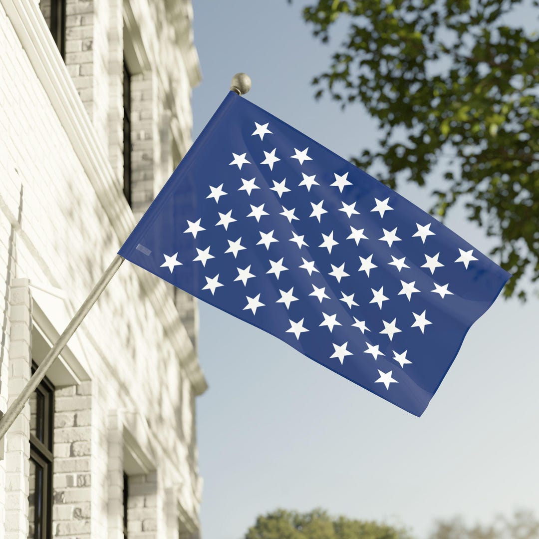 50 Stars Flag / USA Flag / Democratic Flag / Kamala Harris Rally Flag ...