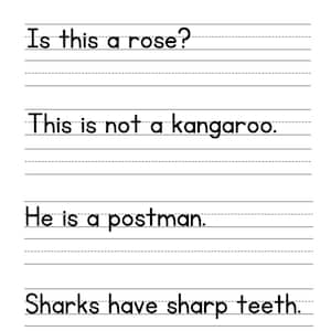 Sentence Writing Practice Worksheets: 1st-3rd Grade ELA (PDF Pattern ...
