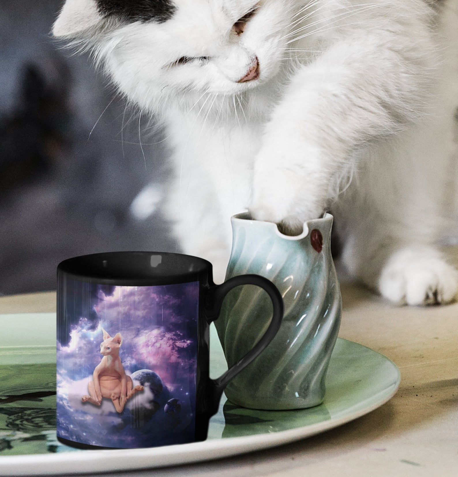 Gato desnudo en el espacio, memes de gato sin pelo, taza de café negra ...
