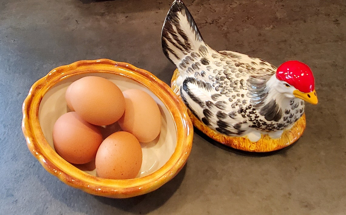 Vtg Ceramic Hen Egg Storage - Etsy