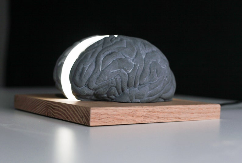 Unique Brain Desk Lamp - Anatomical Brain Shaped Table Light for Study ...