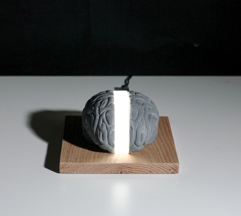 Unique Brain Desk Lamp - Anatomical Brain Shaped Table Light for Study ...