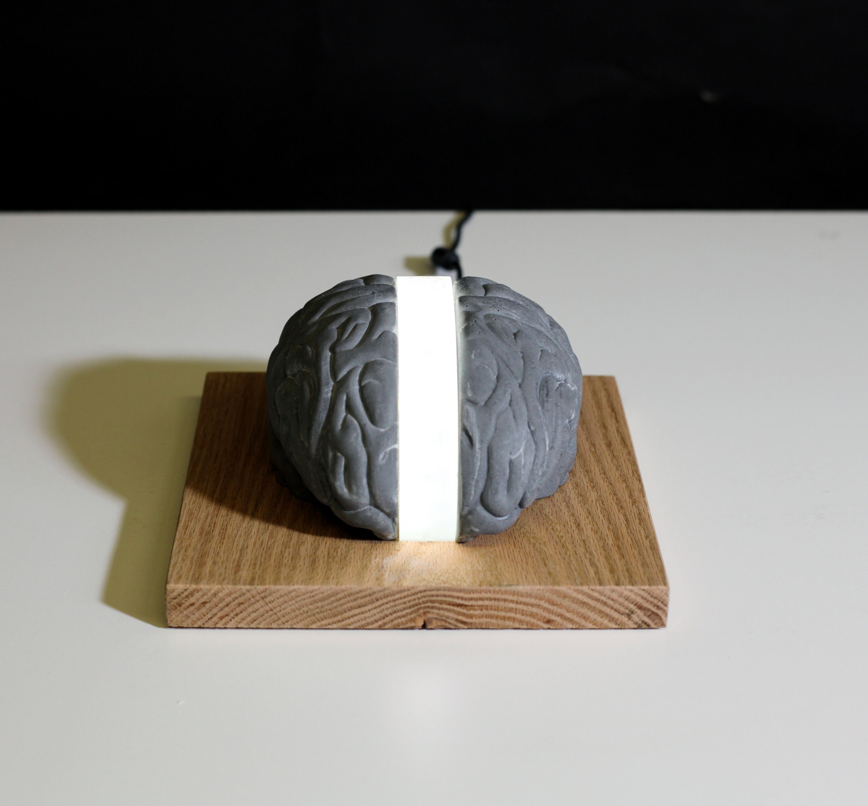 Unique Brain Desk Lamp - Anatomical Brain Shaped Table Light for Study ...