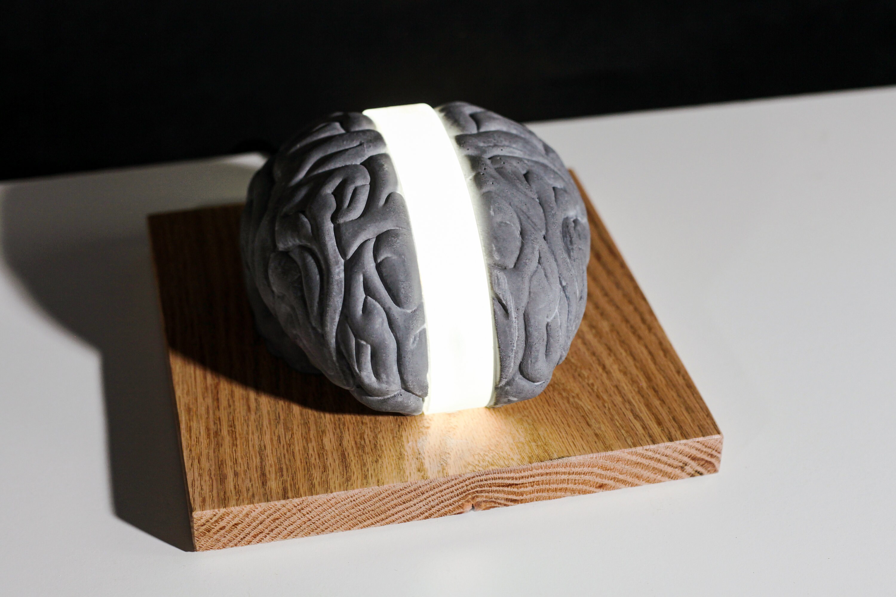 Unique Brain Desk Lamp - Anatomical Brain Shaped Table Light for Study ...
