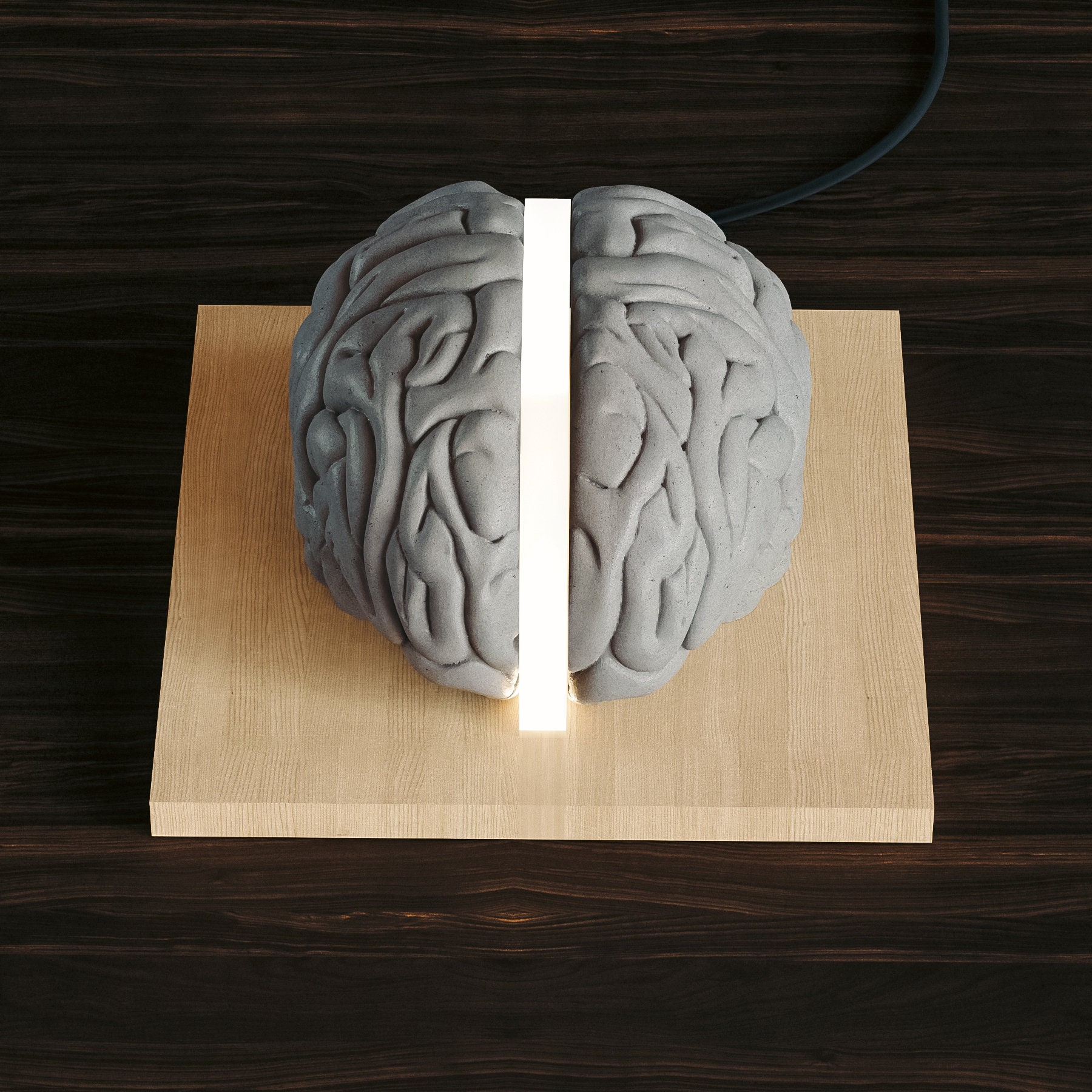 Unique Brain Desk Lamp Anatomical Brain Shaped Table Light for Study or ...
