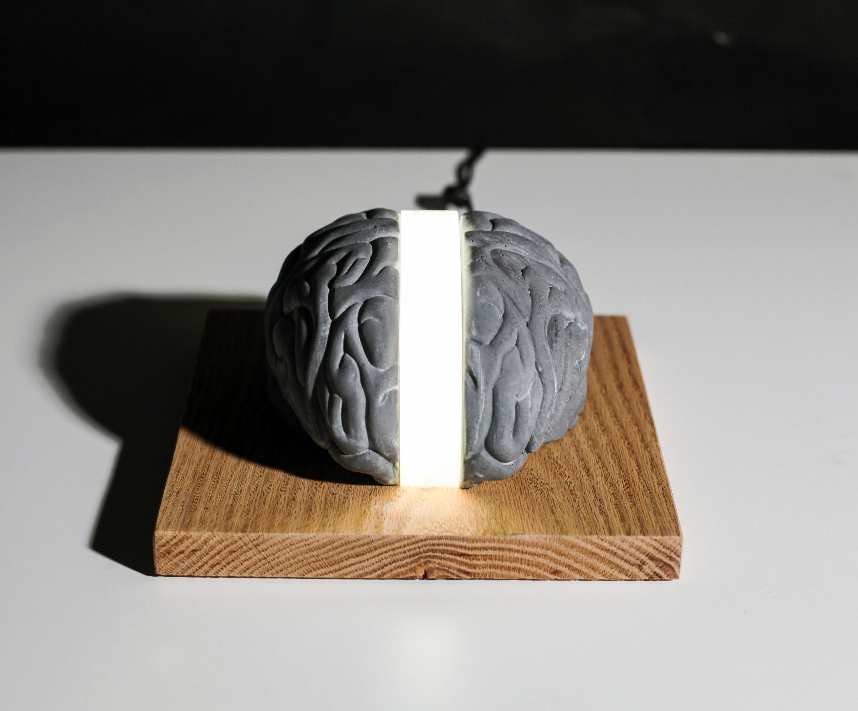 Unique Brain Desk Lamp - Anatomical Brain Shaped Table Light for Study ...