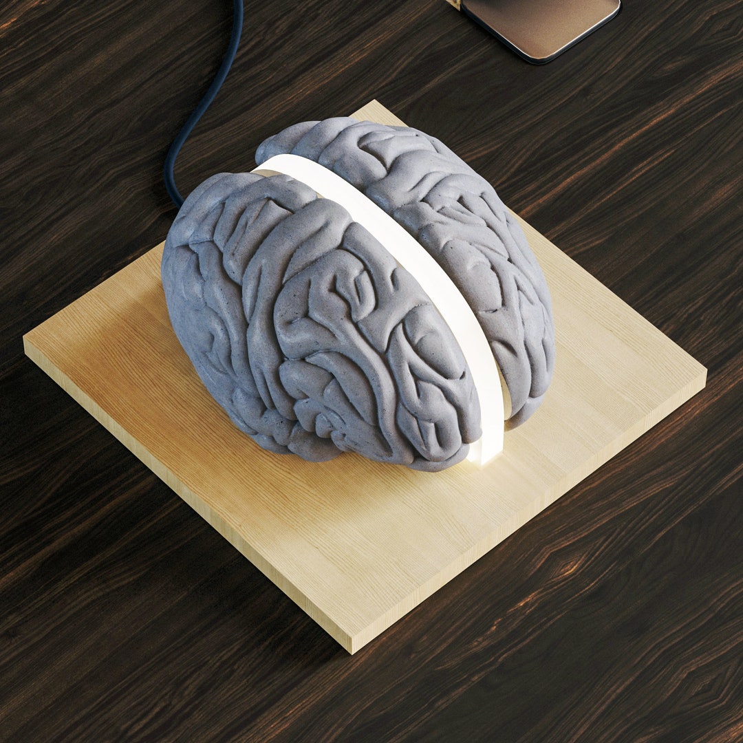 Unique Brain Desk Lamp Anatomical Brain Shaped Table Light for Study or ...