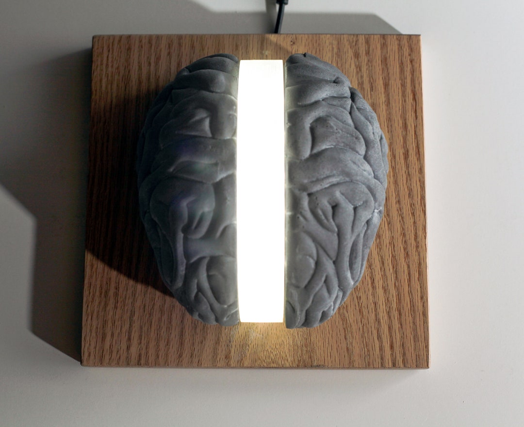Unique Brain Desk Lamp - Anatomical Brain Shaped Table Light for Study ...