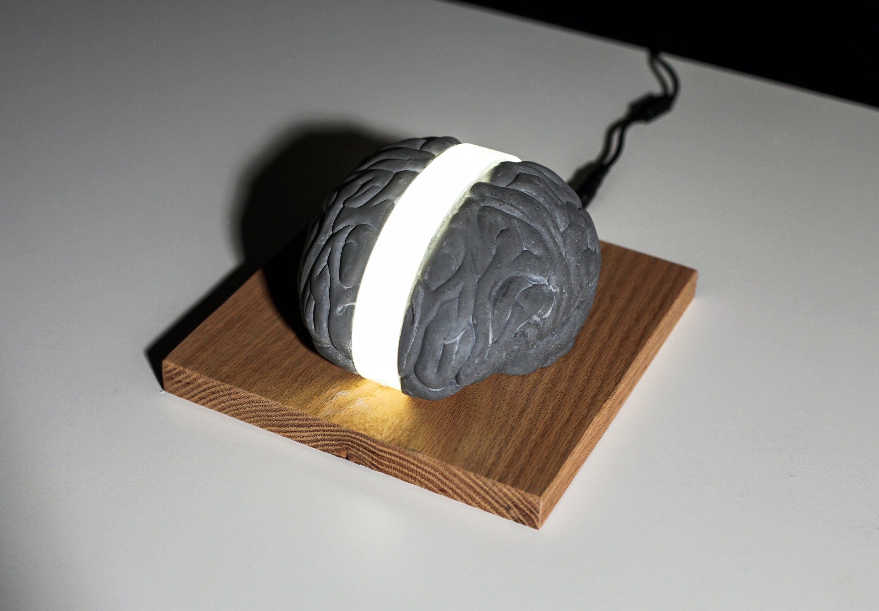 Unique Brain Desk Lamp - Anatomical Brain Shaped Table Light for Study ...