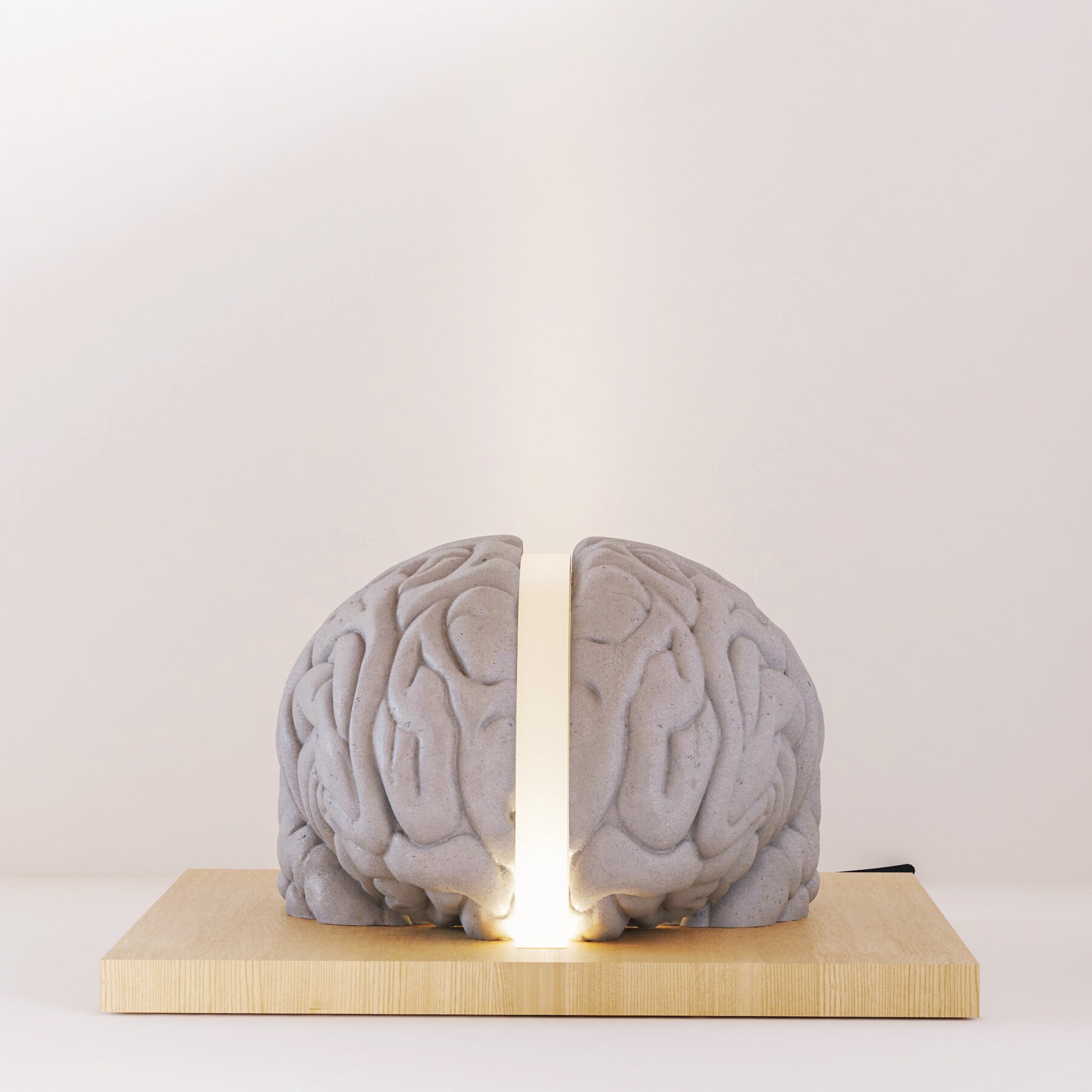 Unique Brain Desk Lamp Anatomical Brain Shaped Table Light for Study or ...