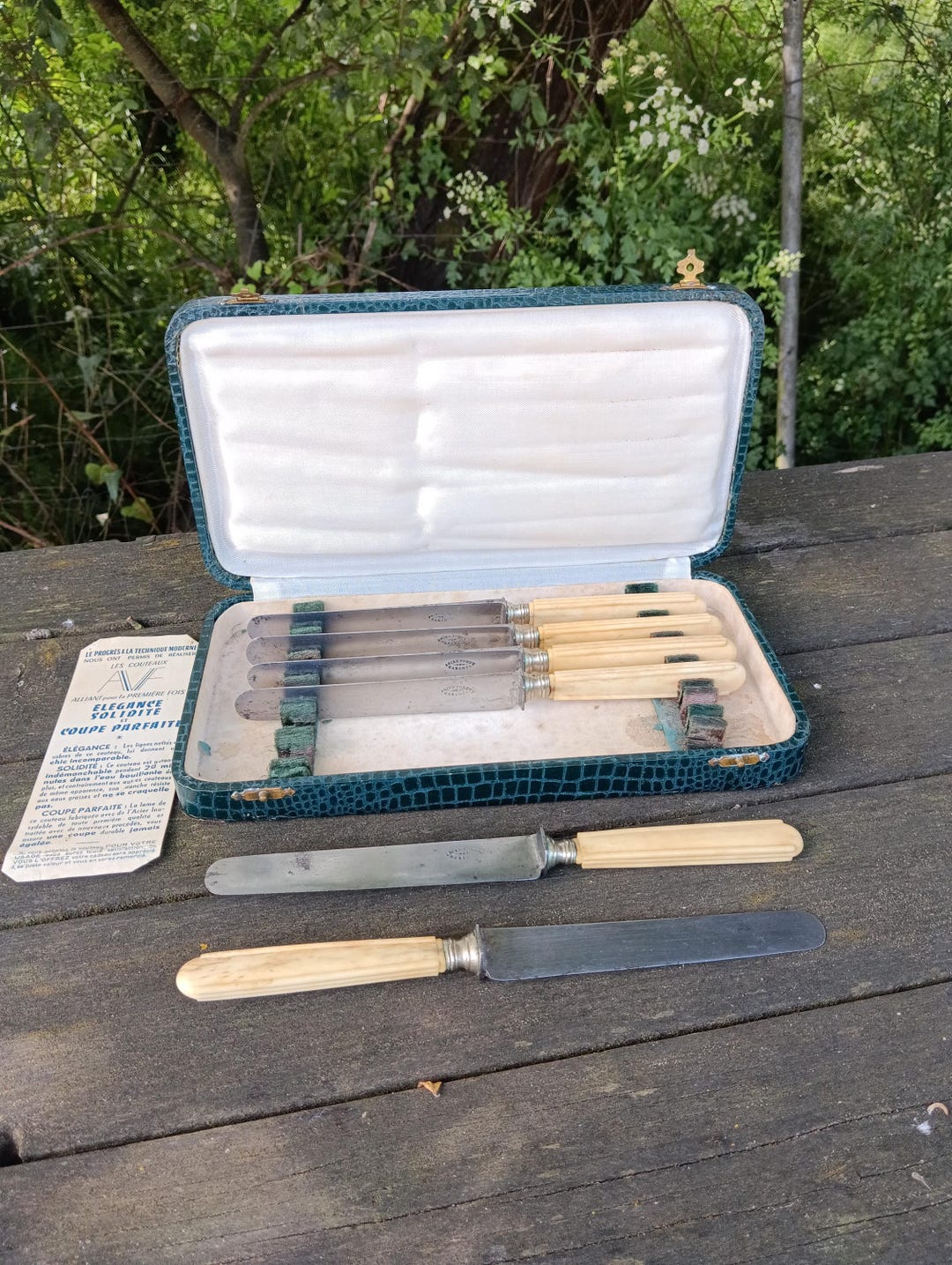 Vintage Knife Set From AVF France, 1950s, With Original Case and ...