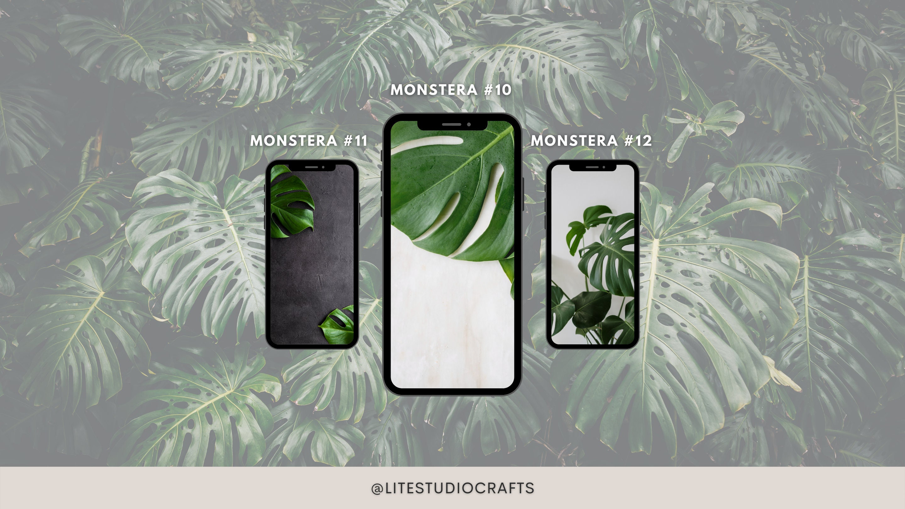 Monstera Wallpapers 12 Pack Edition Plants Tree Monstera Leaves iPhone Smartphone Android IOS - Etsy