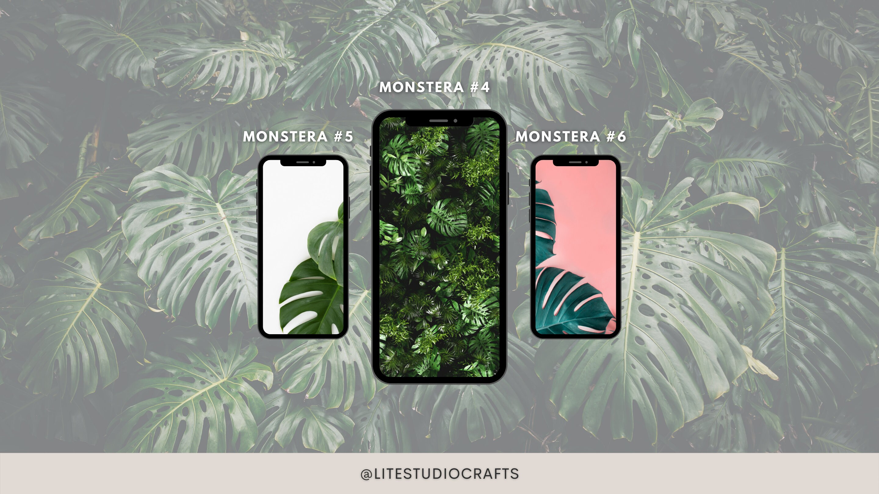 Monstera Wallpapers 12 Pack Edition Plants Tree Monstera Leaves iPhone Smartphone Android IOS - Etsy