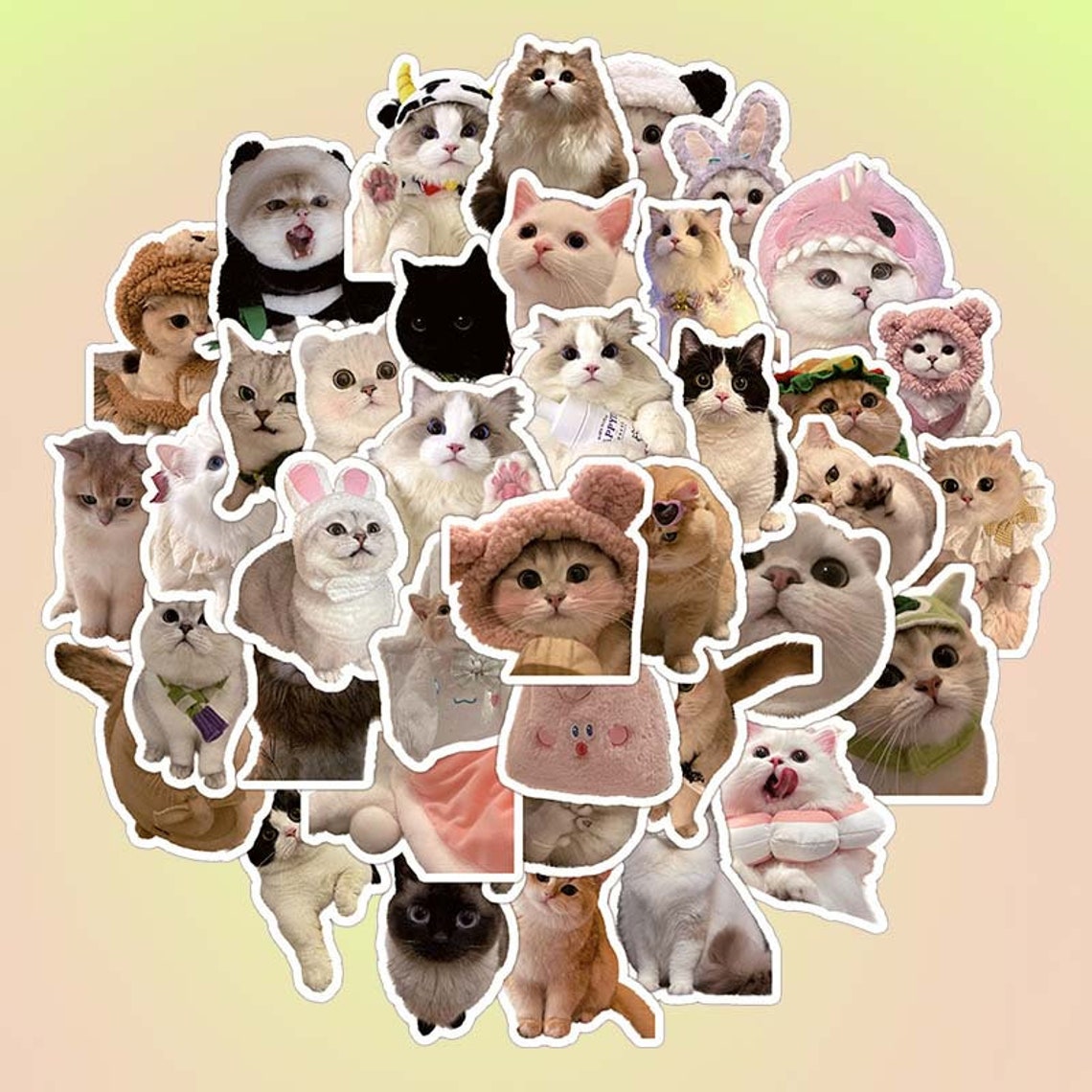 Cats in Hats Cute Stickers Pack 30pcs - Etsy