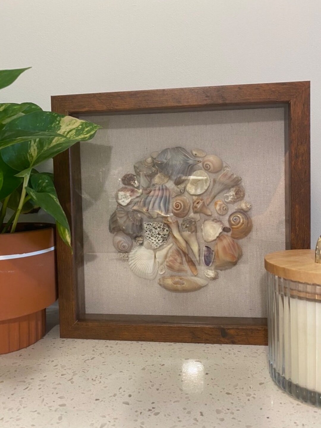 Seashell Mosaic - Etsy