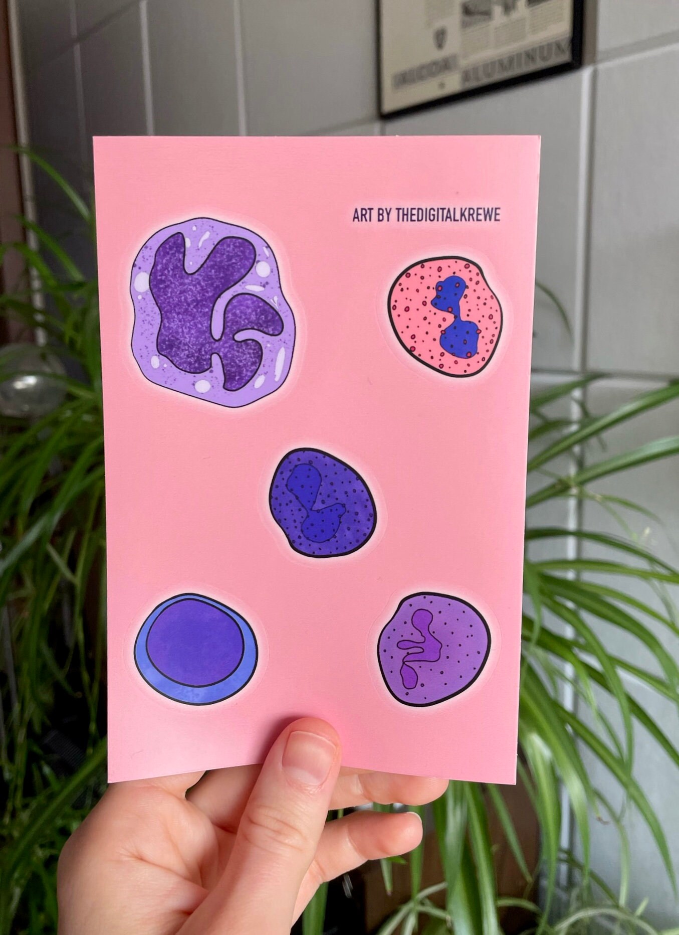 White Blood Cells Sticker Sheet / WBC Stickers / Medical Laboratory ...