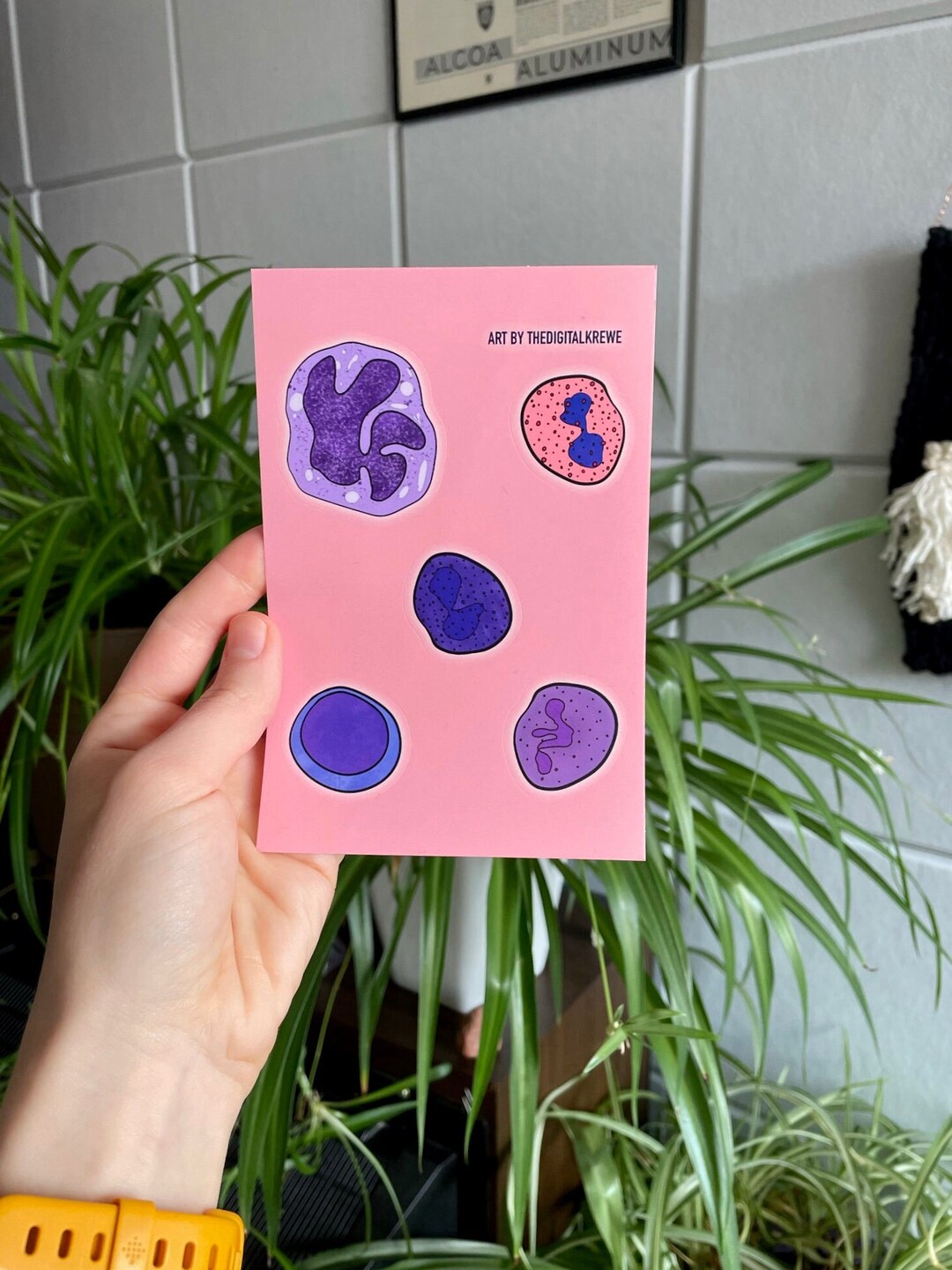 White Blood Cells Sticker Sheet / WBC Stickers / Medical Laboratory ...