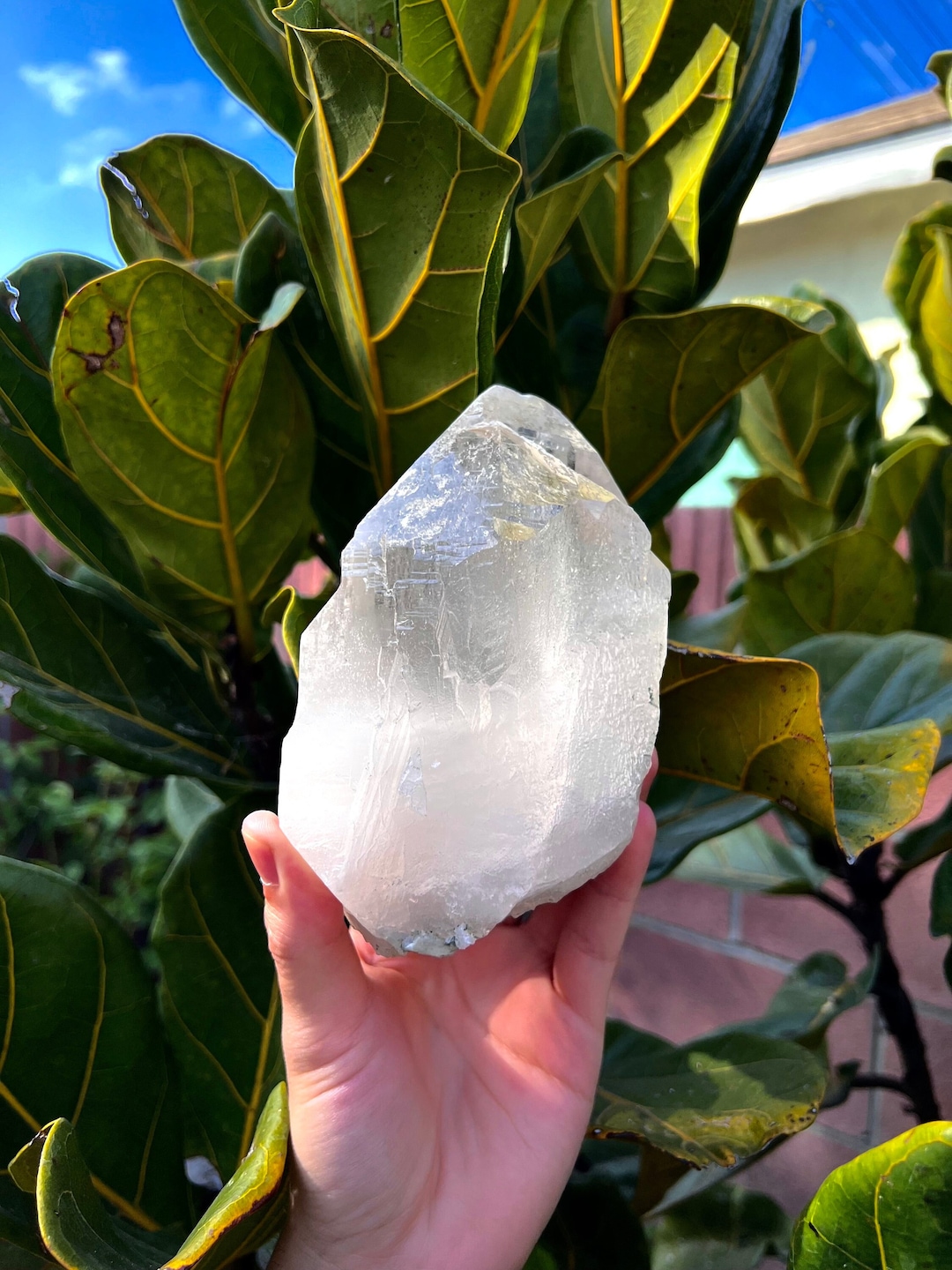 High Grade Elestial Himalayan Ladder Quartz W/2nd Gen Calcite & White ...