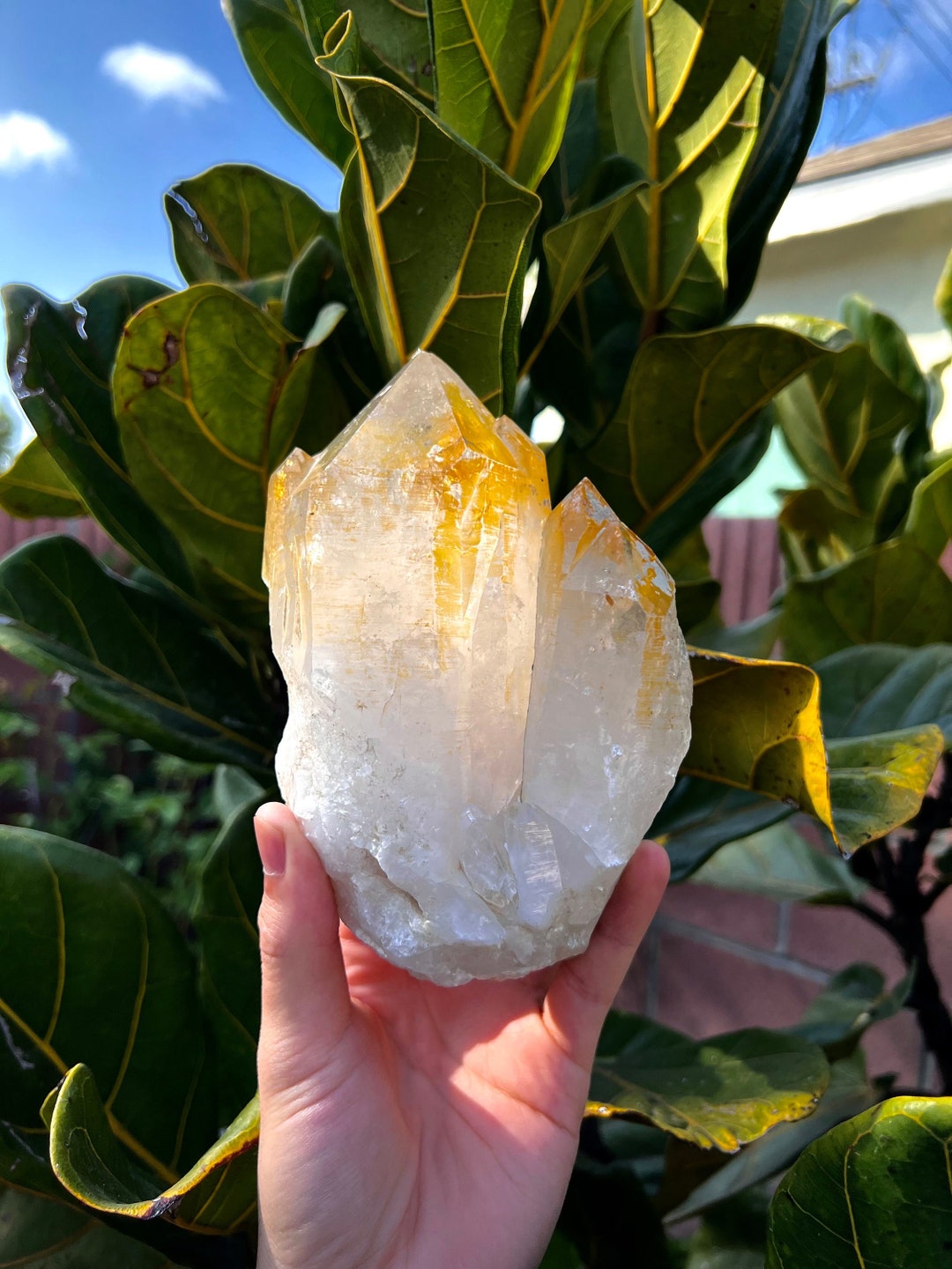 Himalayan Quartz W/2nd Gen Growth Point - Elestial Formations - Iron ...