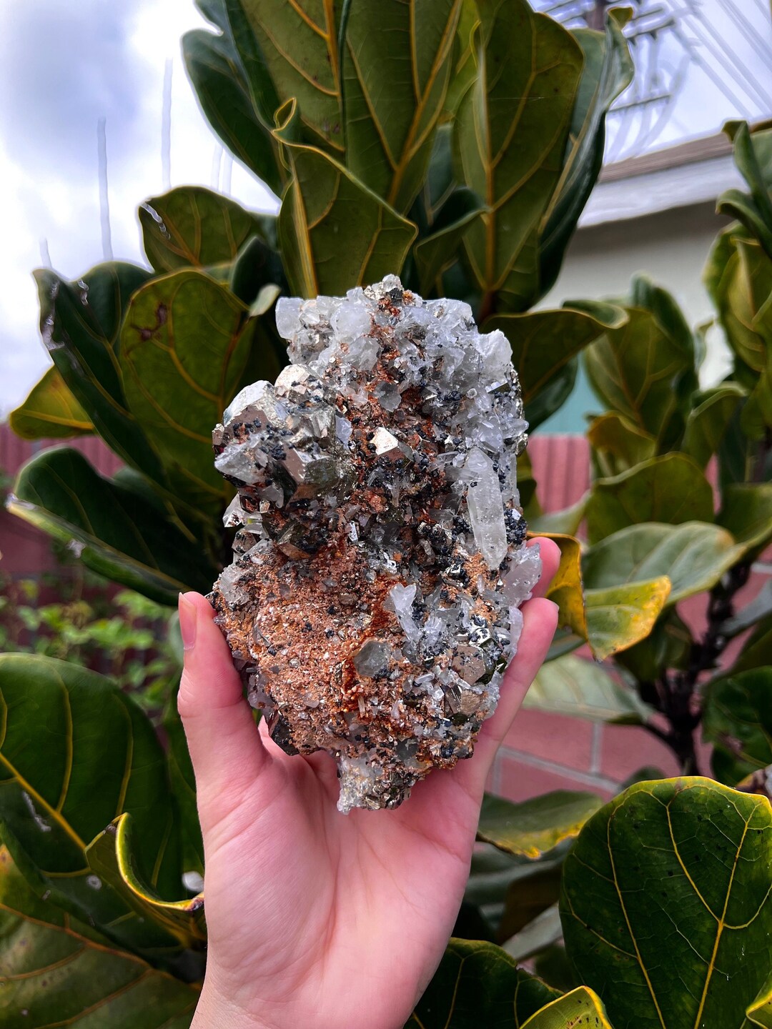 High Grade Golden Pyrite & Quartz Cluster Specimen W/ Galena (3lbs) - Etsy