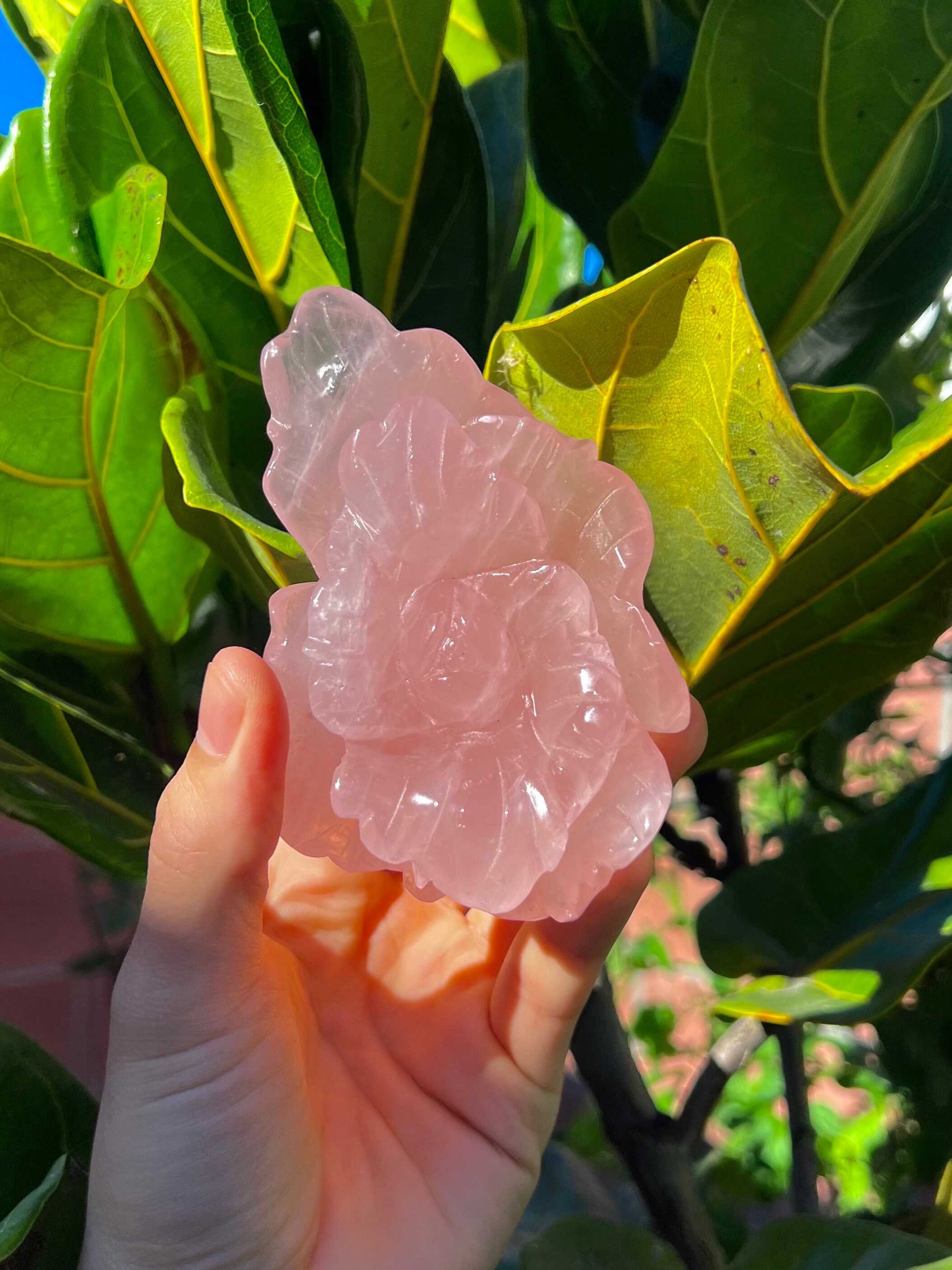 HQ Gem Ruby Star Rose Quartz Flower Carvings 0.6-2lbs - Etsy